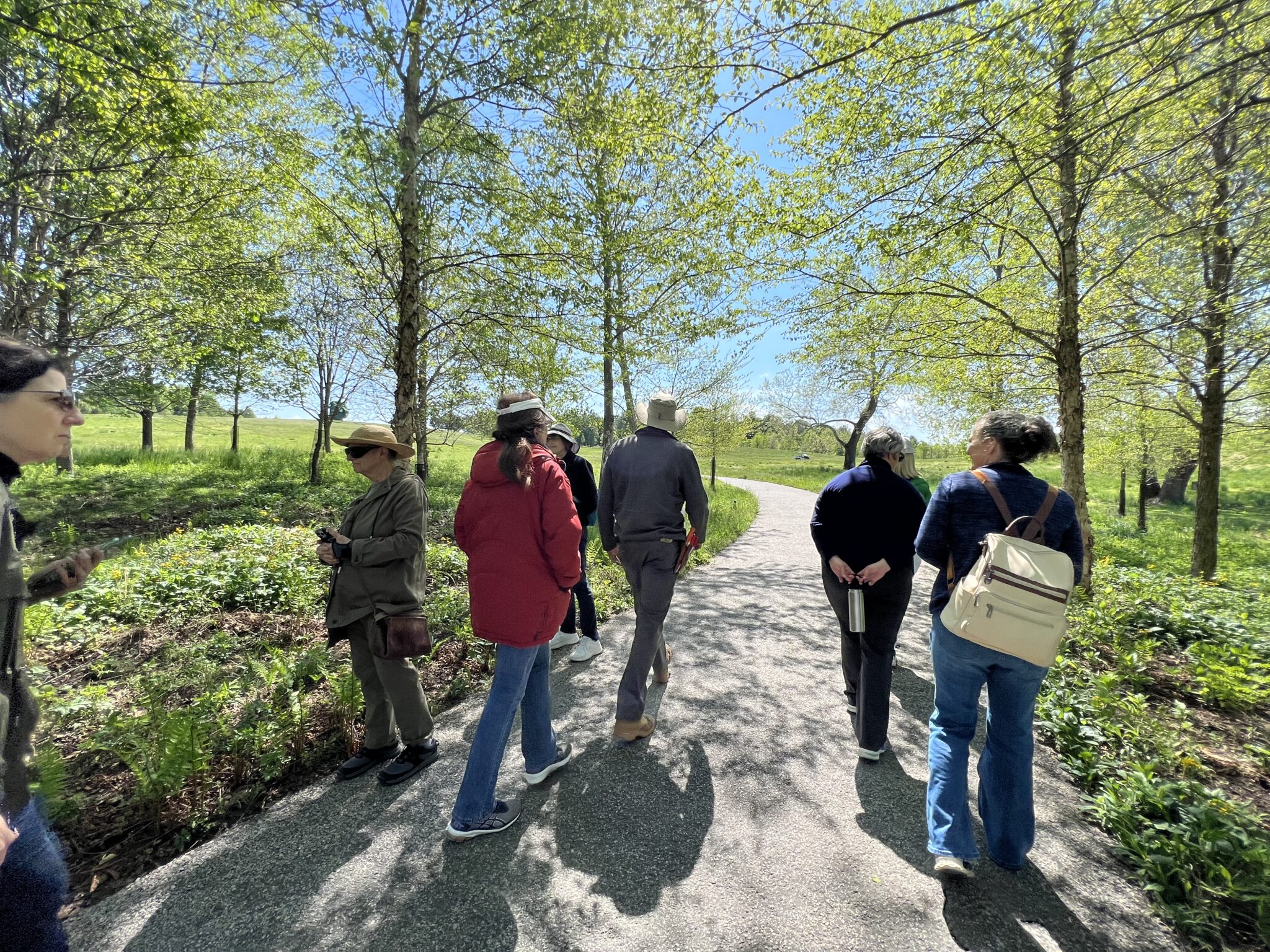 Welcome to our Native Plant Community!